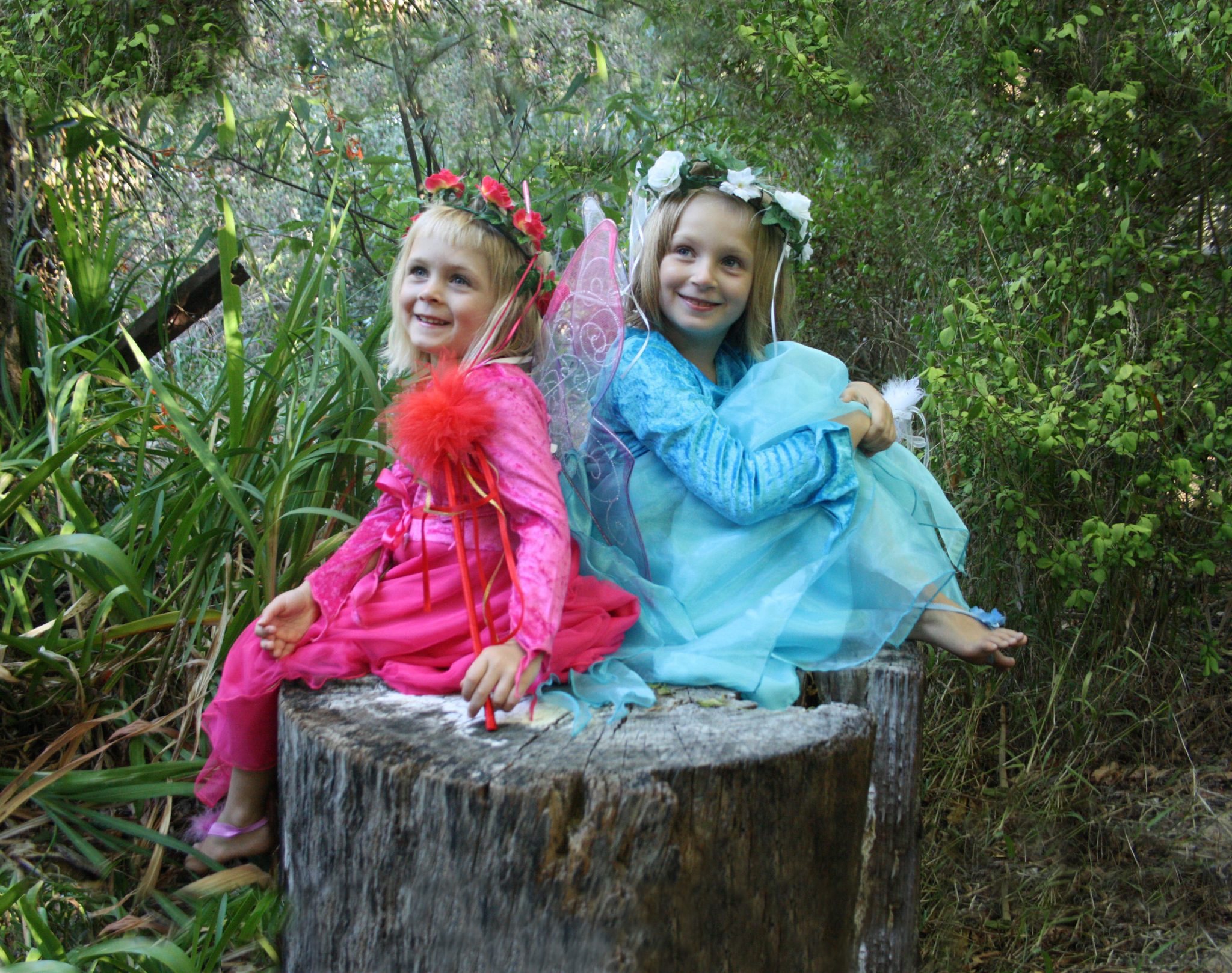 Our new online shop is now live and open for business! - The Fairy Shop